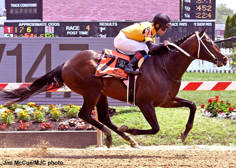 Graded Winner Jaxon Traveler To Enter Stud At New Mexico's A&A Ranch In ...
