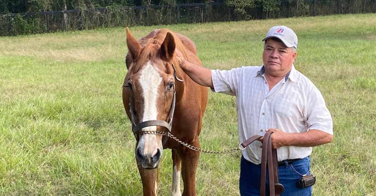 Maritime Traveler, Son Of Secretariat, Passes At Age 35 - Paulick ...