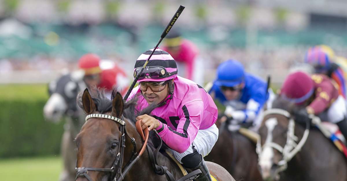 Win A Chance To Meet Grade 1 Winner Casa Creed! - Paulick Report ...