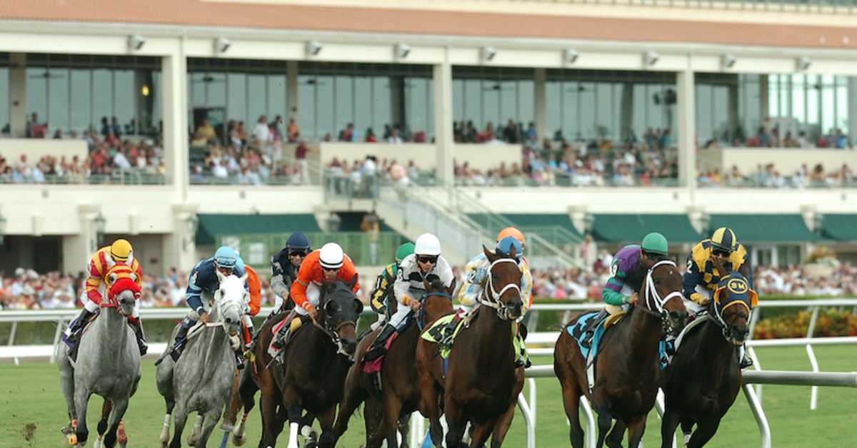 Weekend Lineup Presented By On Track Thoroughbred Solutions: Pegasus ...