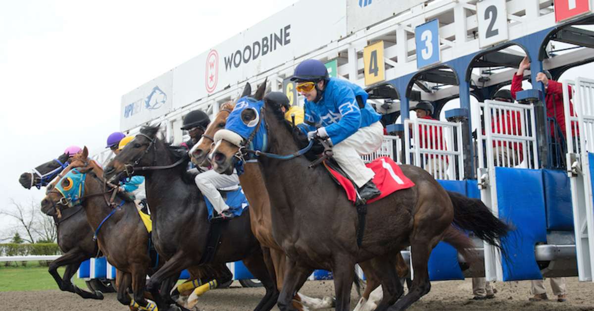 Woodbine Racetrack Announces Starter Bonus For 2024 Racing Season ...
