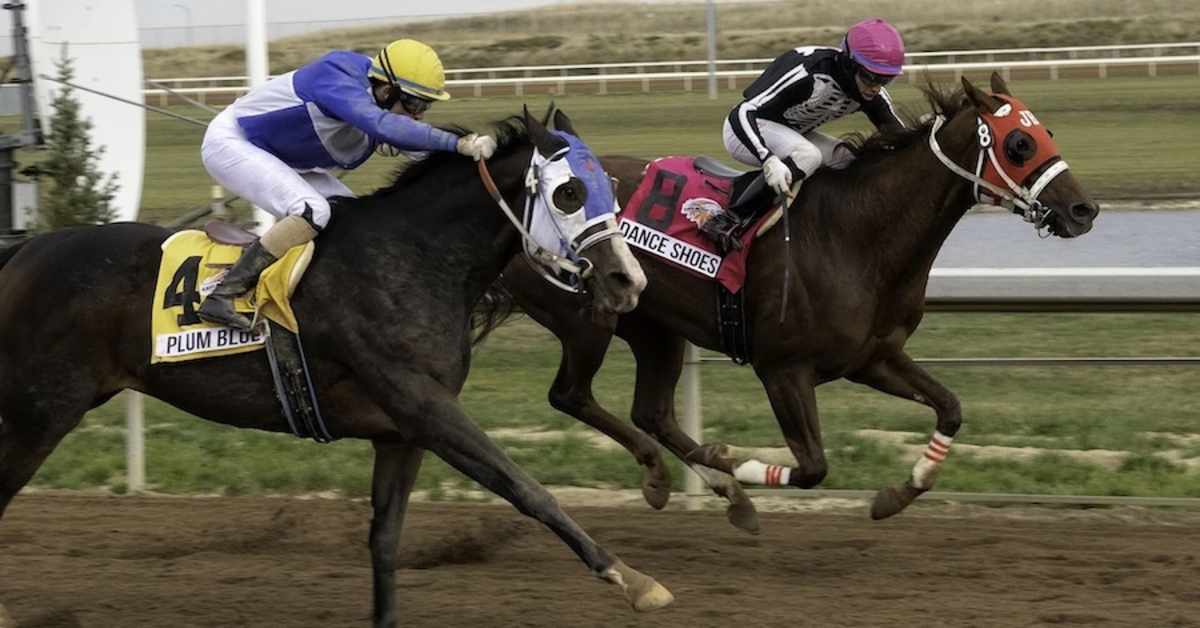 Dawson Guhle Appointed General Manager Of Canadian Thoroughbred Horse ...