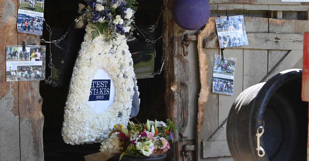 Tim Layden, Sean Clancy Win Media Eclipse Awards For Maple Leaf Mel ...