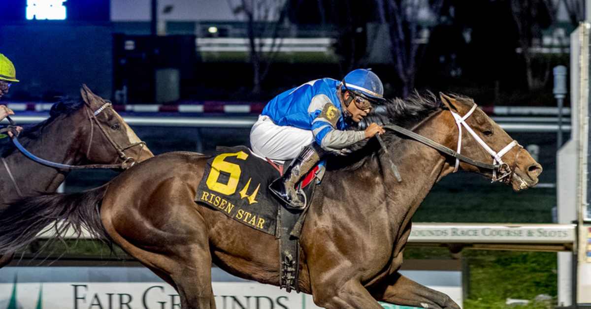 It's A Girl! First Foal Is A Filly For Grade 1 Winner Angel Of Empire ...