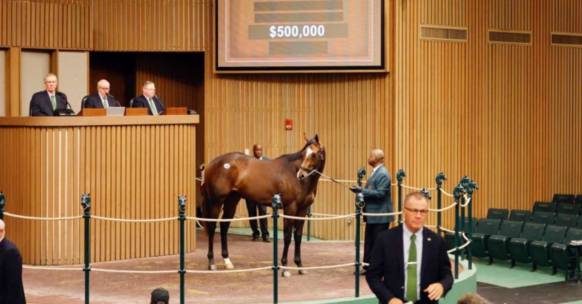 Keeneland's April All-Stars: Commissioner Dan Was A Win On Top Of A Win ...