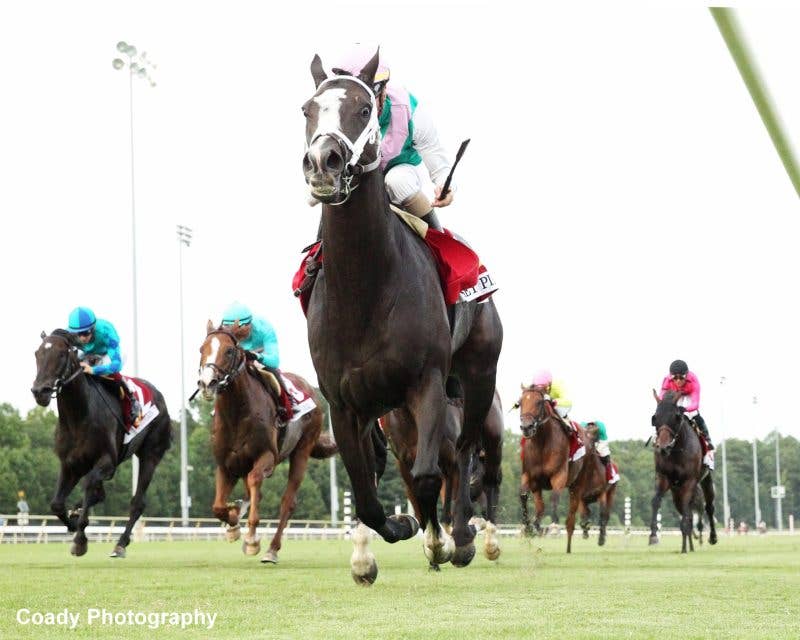 Colonial Downs Opens Stable Area June 24 For Summer Meet That Begins ...