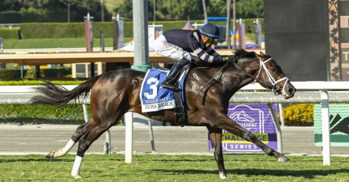 Endlessly Headlines Over-Subscribed Field of 14 For Jeff Ruby Steaks ...