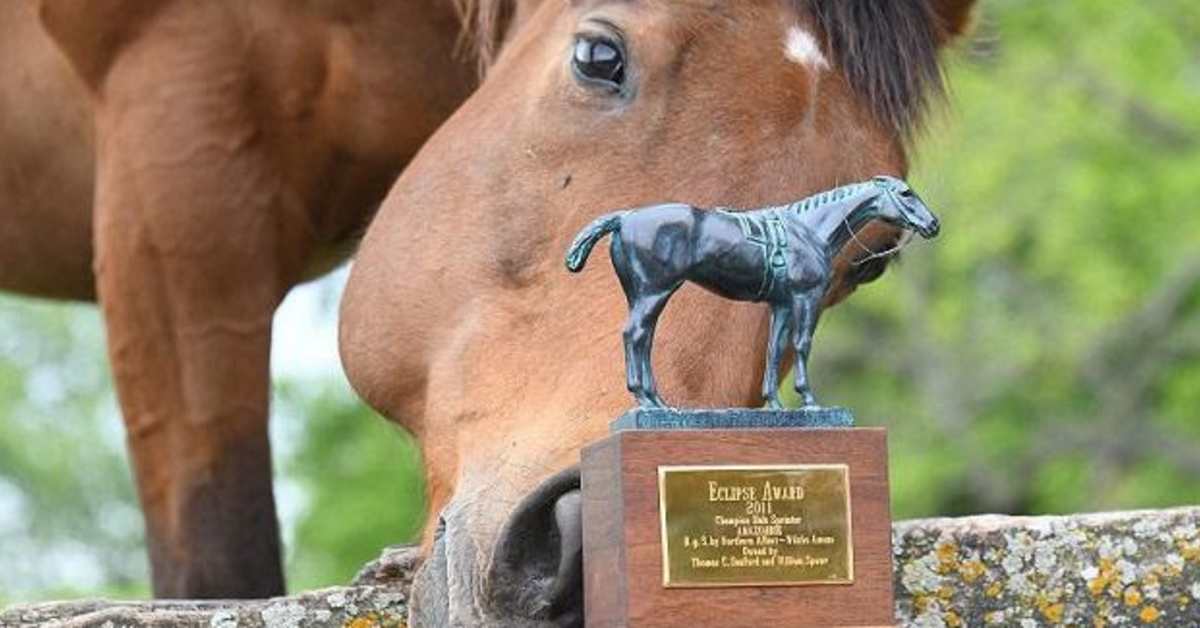 Patreon Sneak Preview: The 2025 Eclipse Awards Snub Outrage Index ...