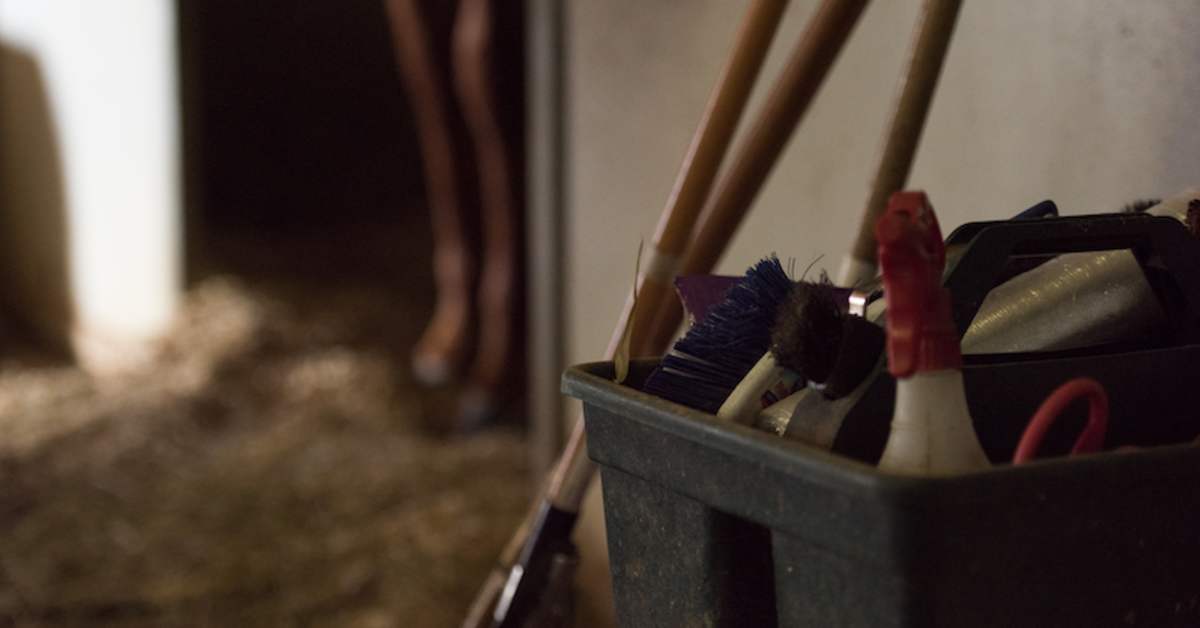 ‘It’s More Work But It’s Worth It’: Trainers Discuss HIWU Rules In ...