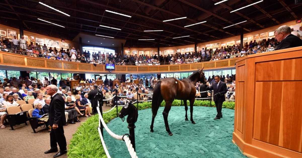 Catalog For 2025 Fasig-Tipton Saratoga Sale Now Available - Paulick ...