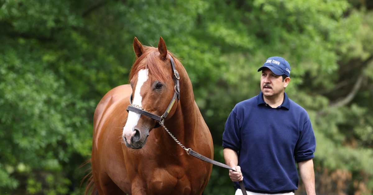 VIDEO: Triple Crown Winner Justify Sends Crudo To Carry On Belmont ...