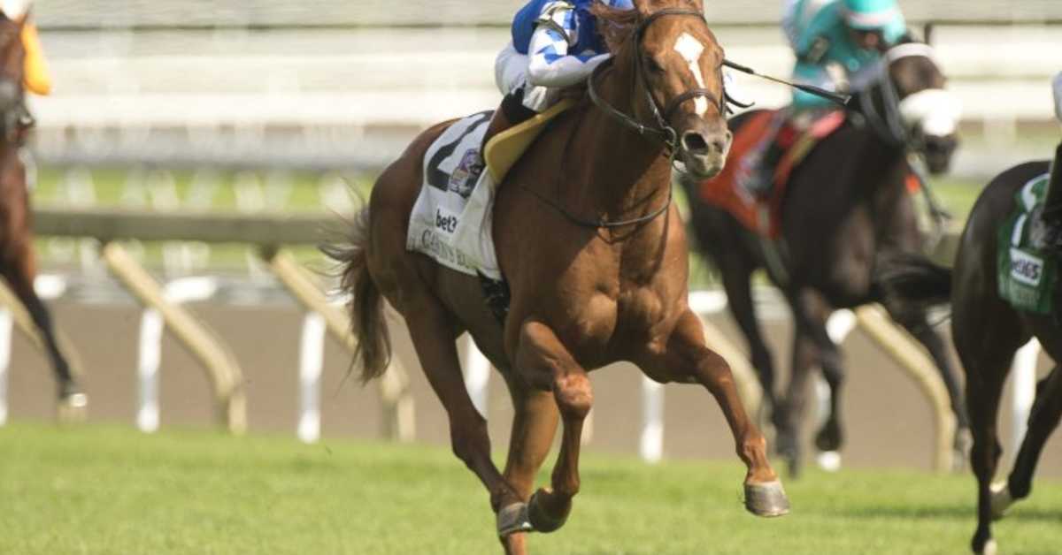 Carson's Run Eyes Third Grade 1 Win In Hollywood Derby - Paulick Report ...