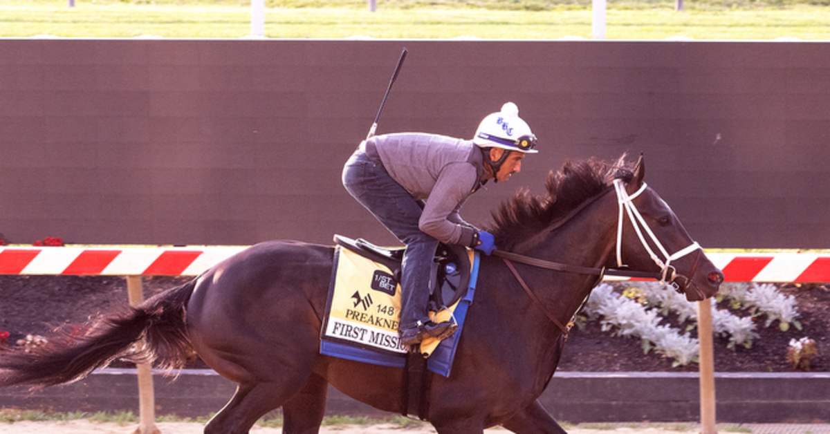 'Plenty Of Upside': First Mission's Connections Confident Ahead Of ...