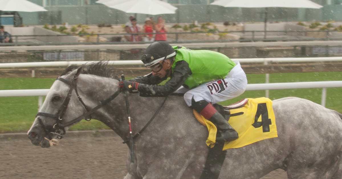 Canadian Champion Tyson Entering Stud At Pennsylvania's Stone Jug Ranch ...