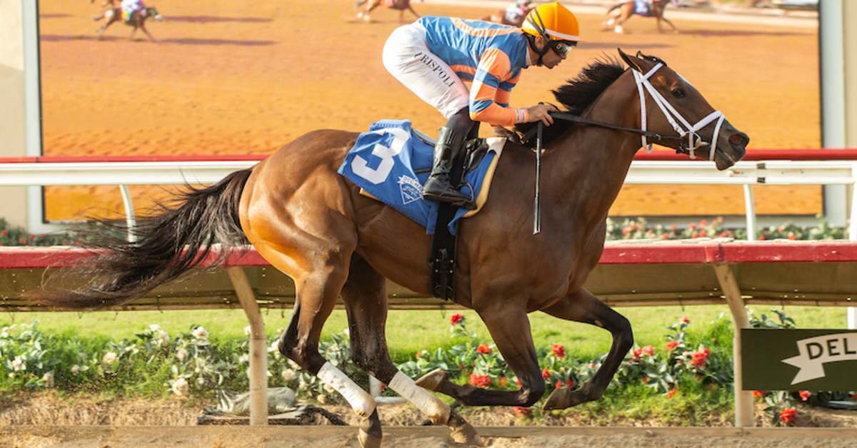 Pleasant Continues Comeback In Saturday's Las Flores - Paulick Report ...