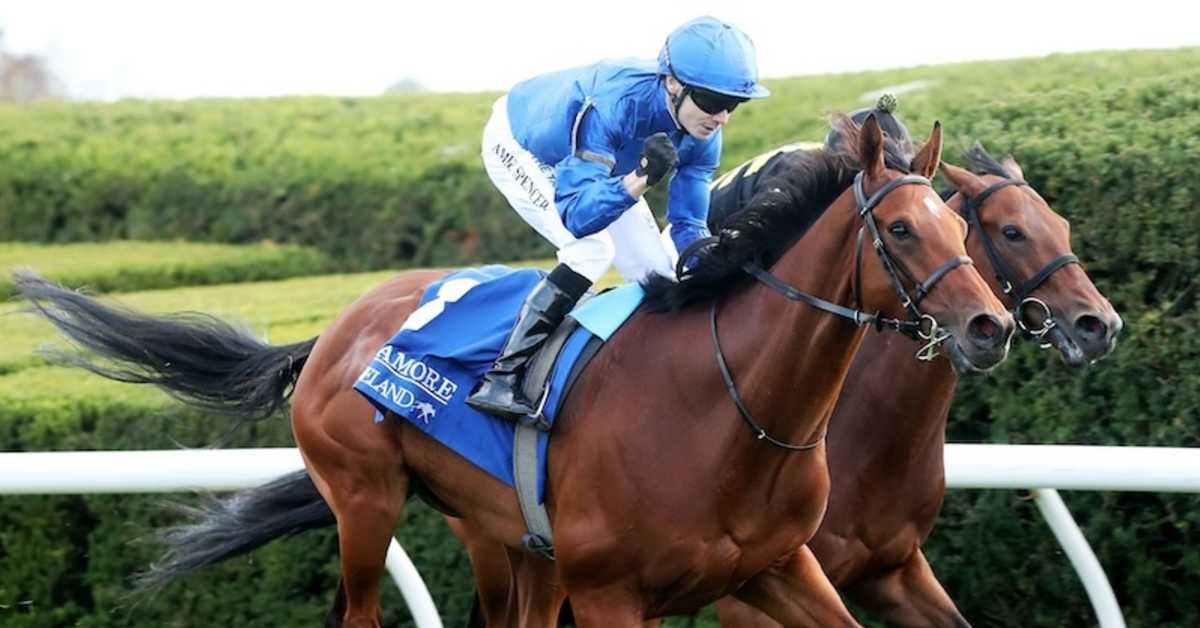 Godolphin Duo Bold Act, Silver Knot Top Field For Elkhorn - Paulick ...