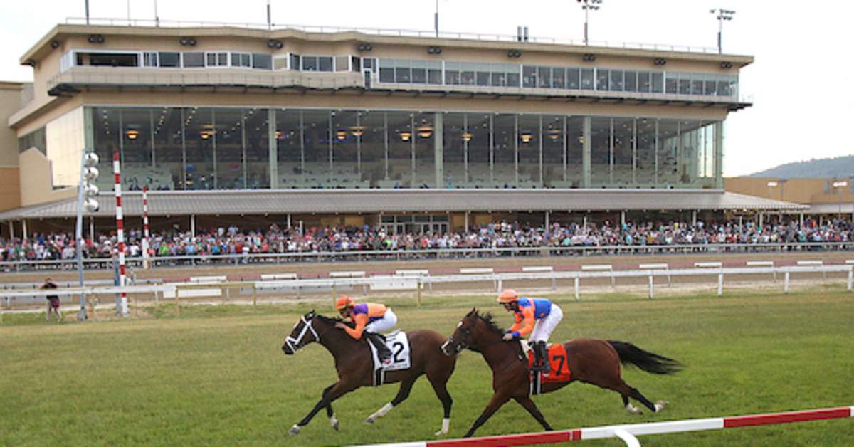 Penn Mile, Three Other Turf Stakes Rescheduled To June 20 After Rainy ...