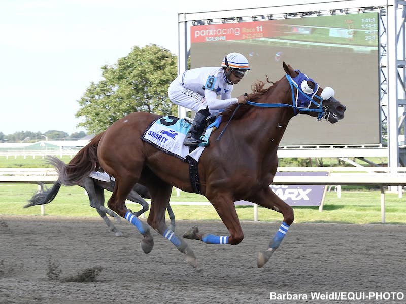 Il Miracolo Continues Preparation For Pegasus World Cup With Gulfstream ...