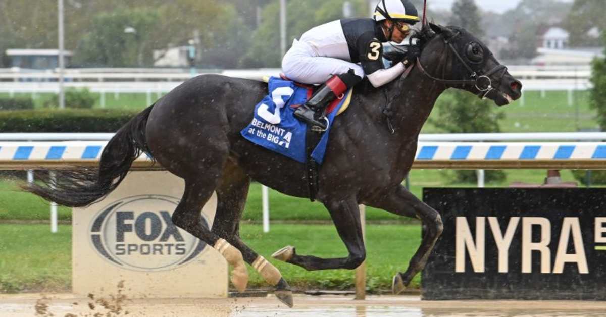 El Grande O Posts Work Ahead Of Gotham Run - Paulick Report | Latest ...