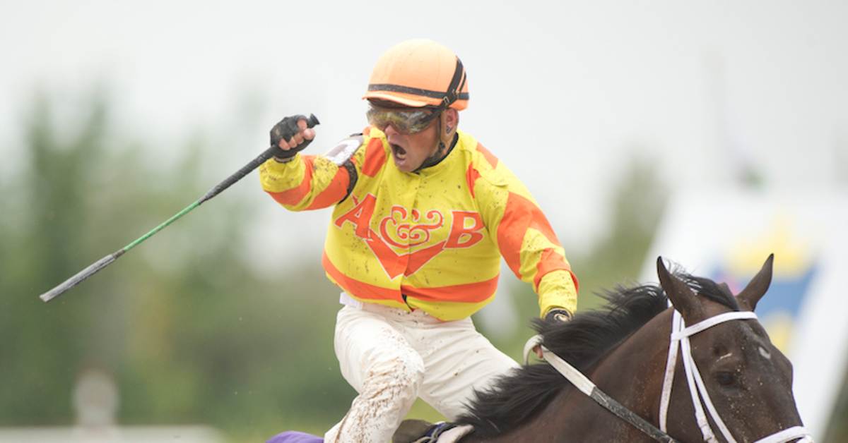 Prince Of Wales Stakes To Be Run On Sept. 10 In 2024 - Paulick Report ...