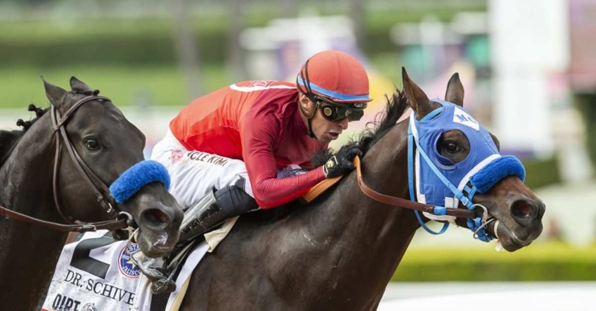 'Good Bone, Scope, And Size': First Foal Is A Colt For Grade 1 Winner ...