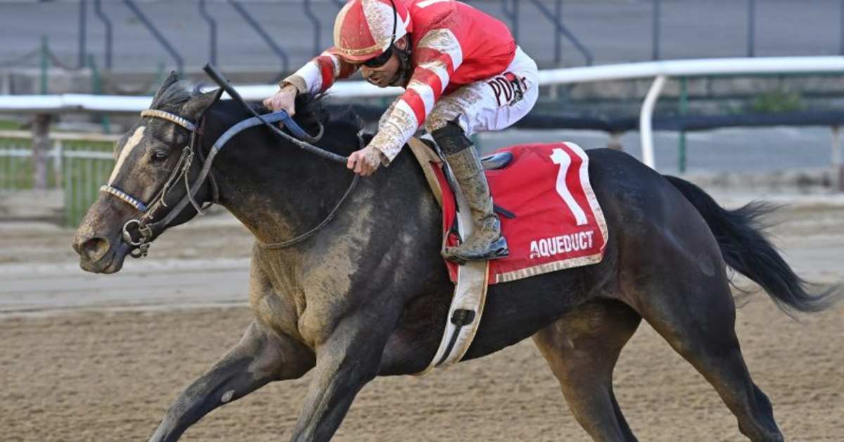 Equibase Analysis: Princess Mayfair Can Wear Busanda Crown - Paulick ...