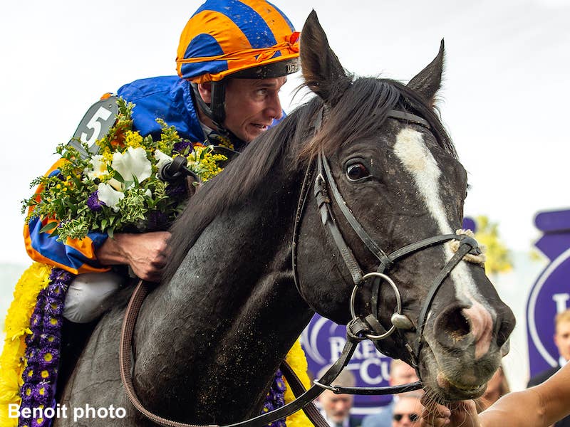 Auguste Rodin, Goliath Head International Challenge For Japan Cup ...