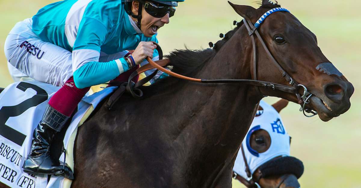 Contentious Shoemaker Mile Draws 11 On Santa Anita's Memorial Day ...
