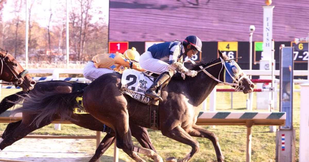 Preakness ‘A Consideration’ For Federico Tesio Winner Copper Tax ...