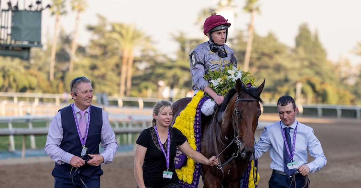 Breeders' Cup Winner Unquestionable To Stand At Ireland's Rathbarry ...