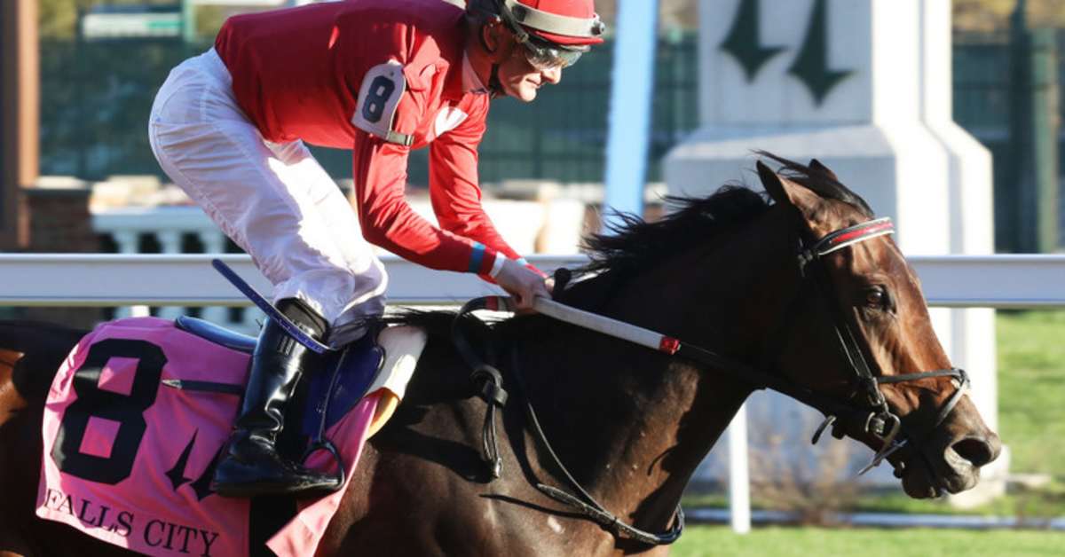 Xigera Tries To 'Turn The Tables' On Scylla In Fleur De Lis - Paulick ...