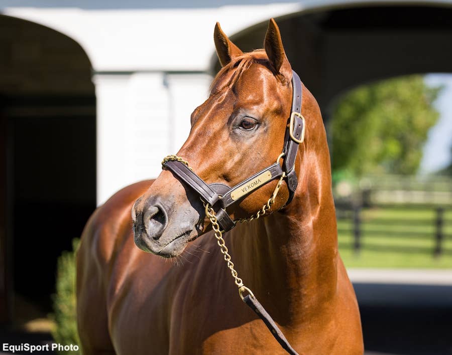 First-Crop Sire Watch Presented By Spendthrift Farm: 2024 Fasig-Tipton ...