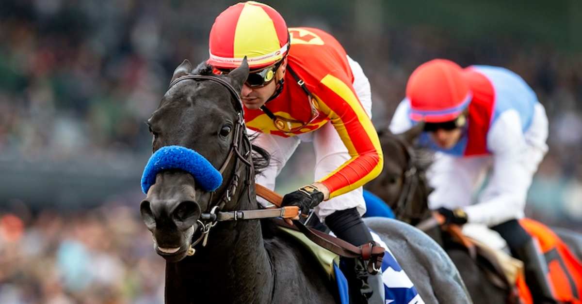 Breeders’ Cup Presents Connections: Non-Profit Founder Breeds G1 Winner ...