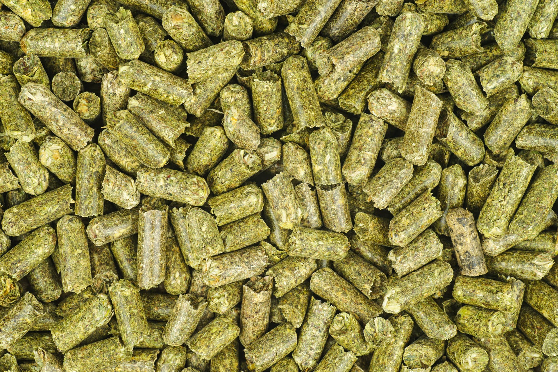 Will soaking alfalfa pellets prevent choke in horses? - Paulick Report ...