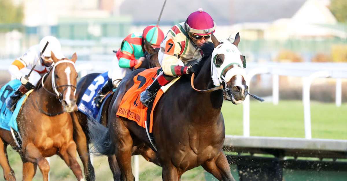 Kentucky Derby Pedigree Corner Presented By FanDuel Racing: Catalytic ...