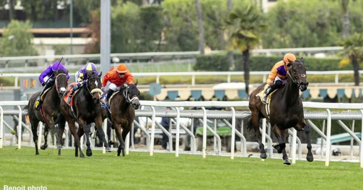 Ruby Nell Makes All For Easy Lady Of Shamrock Score - Paulick Report ...