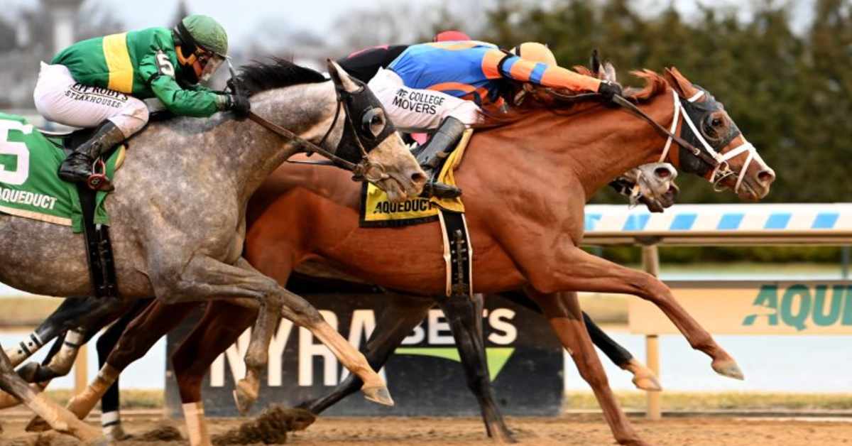 'He's Always Had The Fight In Him': Crupi Prevails In Queens County ...