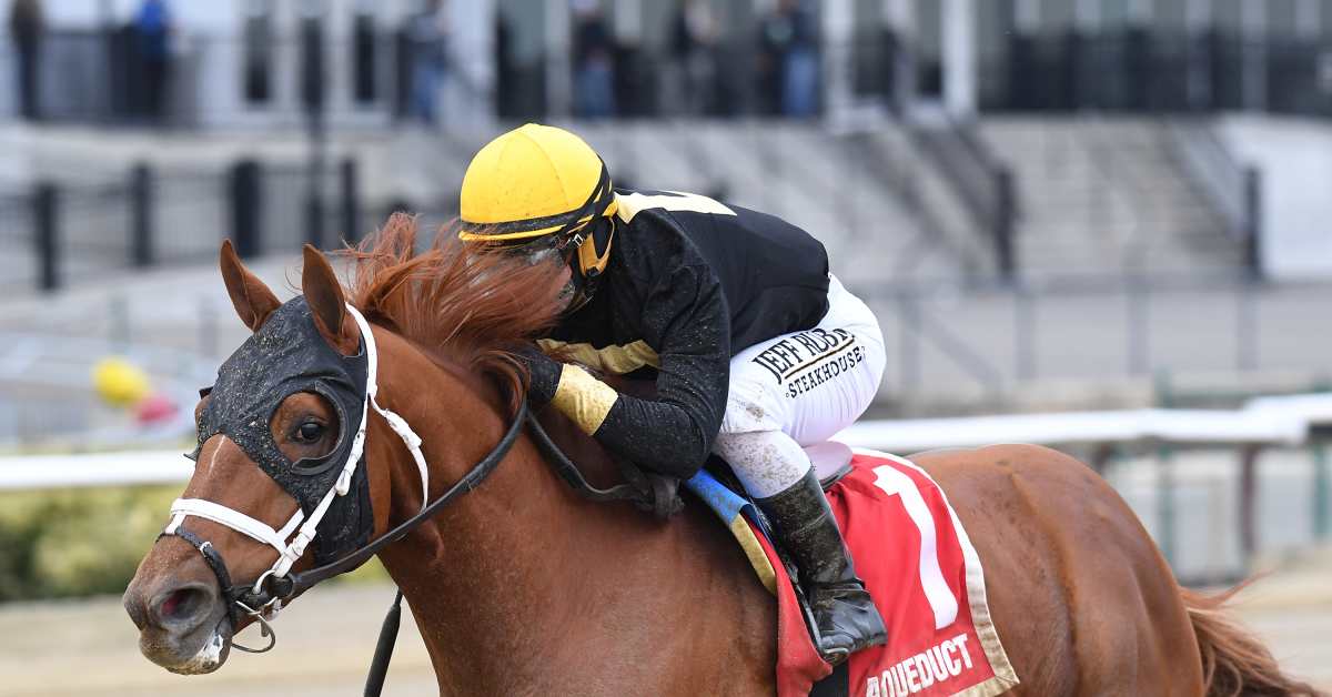 Drum Roll Please Penciled In For Next Month's Withers - Paulick Report ...