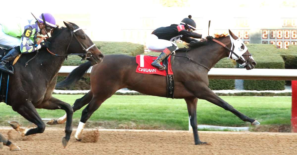Midshipman’s Dance Stays Perfect With Mockingbird Triumph At Oaklawn ...