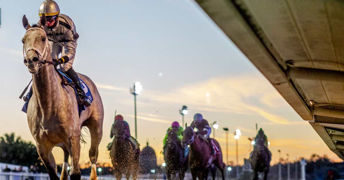 Jockey Of The Week: Florent Geroux Scores Stakes Triple At Fair Grounds ...