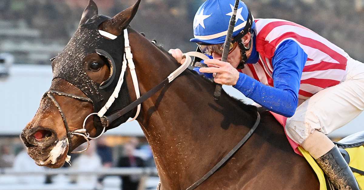 Bellamore Provides Asmussen Fifth Houston Ladies Classic Win - Paulick ...