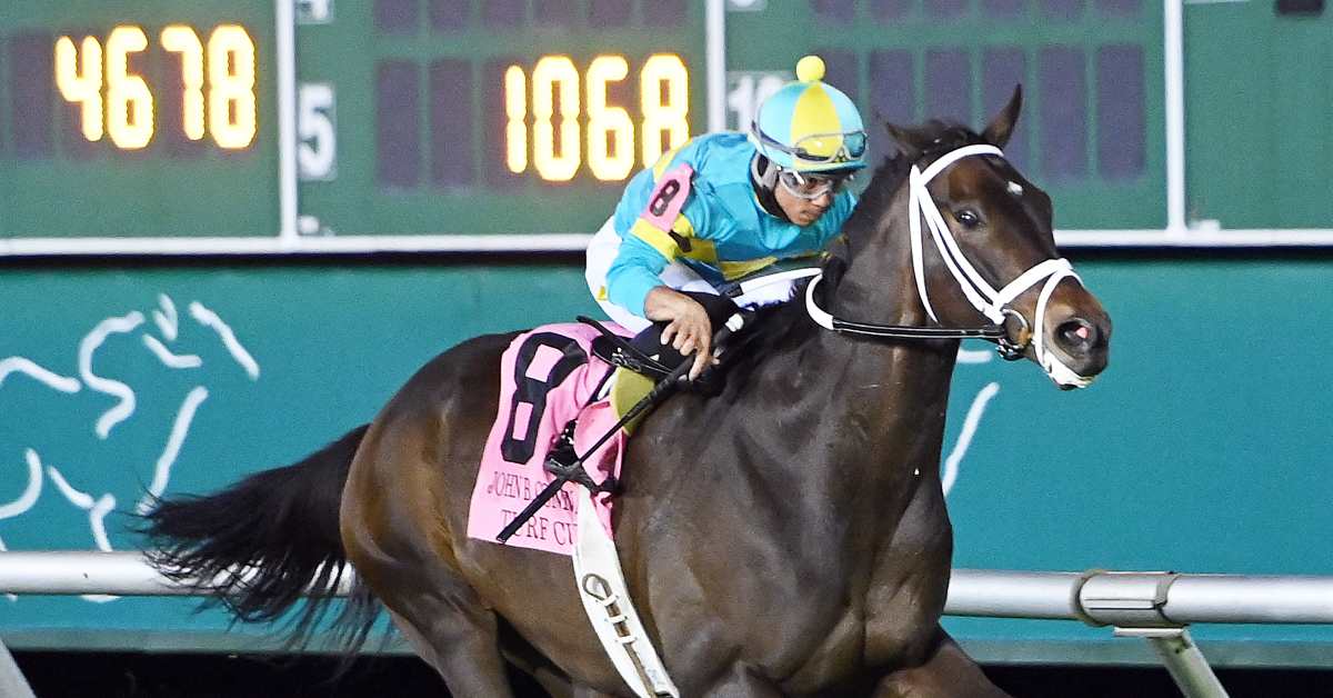 Dynadrive Drives Clear To Connally Turf Cup Win - Paulick Report ...