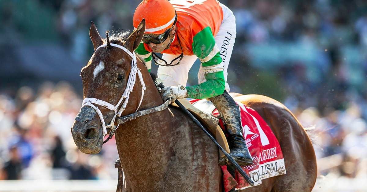 Kentucky Derby Pedigree Corner Presented By Zycosan: American Promise ...