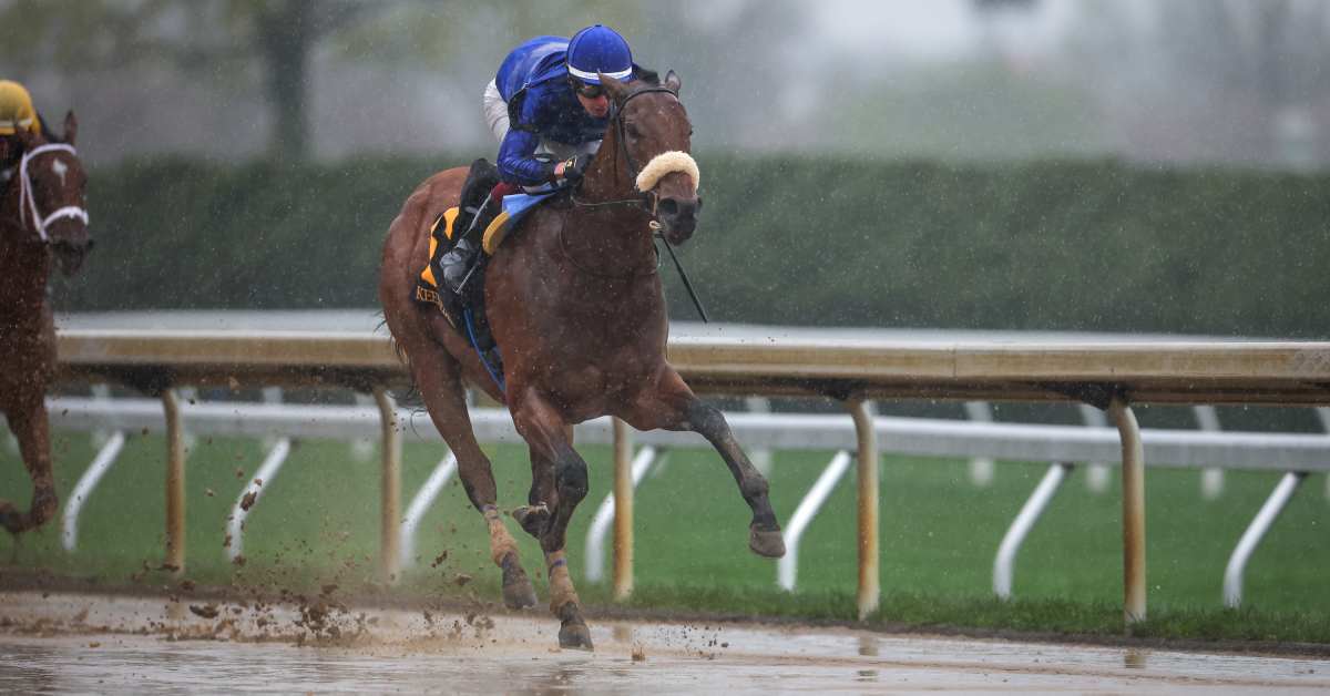 Verity Aims For Grade 2 Double In Eight Belles - Paulick Report ...