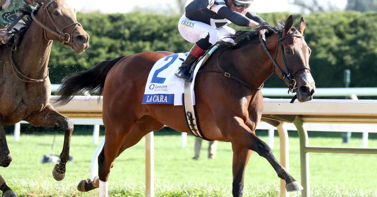 Video: Trainer Mark Casse Praises La Cara's Comeback, Consistency After ...