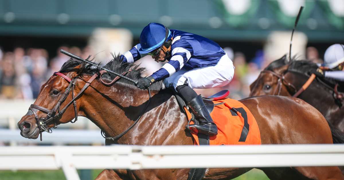 Manny Franco Rides Stakes Double As Test Score Posts 9-1 Upset In ...