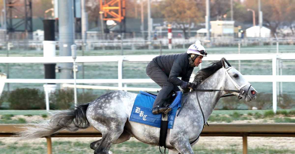 Final Gambit Gets 'Another Opportunity On Dirt' In Matt Winn - Paulick ...