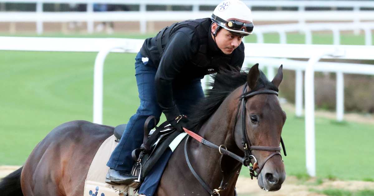 'This Is A Race That Longshots Can Win': Flying Mohawk Tries Dirt In ...
