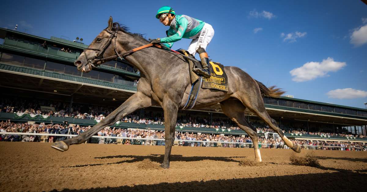 Gosger, Bracket Buster Possible For Preakness After 1-2 Lexington ...