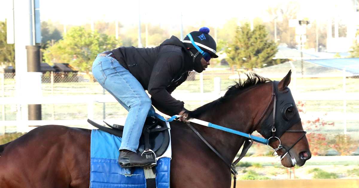 'Maybe Both Of Us Can Break Our Maiden': Steve Asmussen Believes In ...